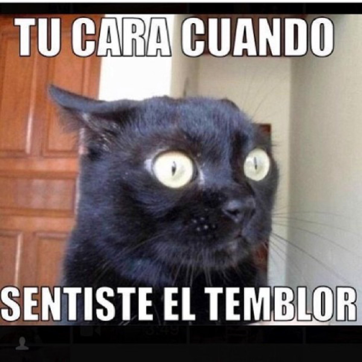 En un temblor nunca faltan los memes | Fotogalería | Tendencias | LOS40 ...