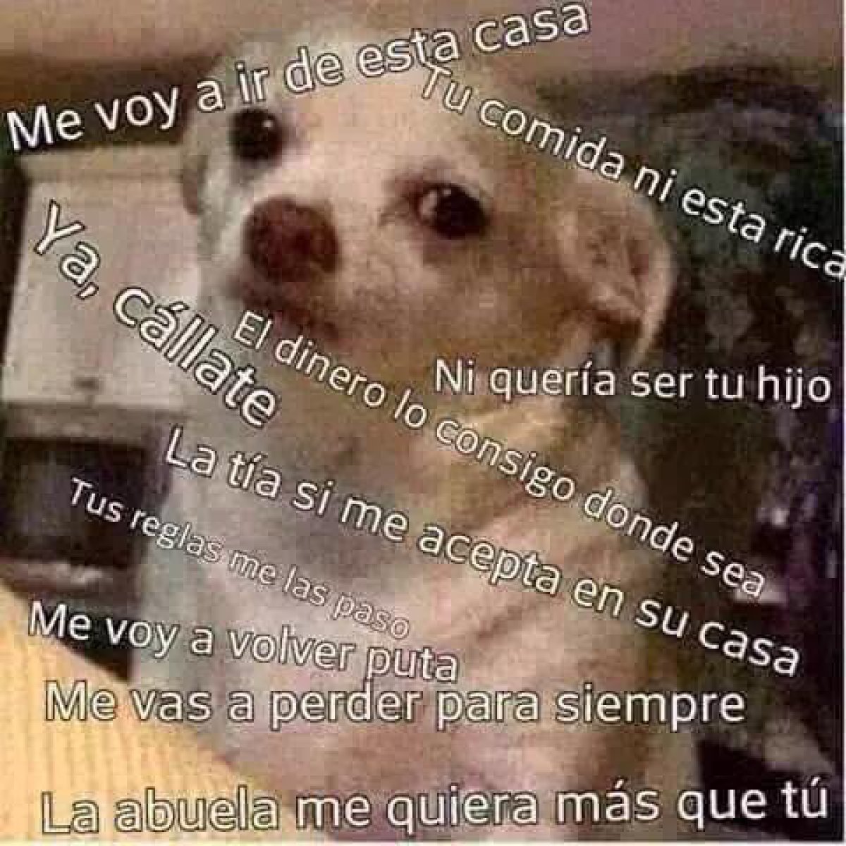 Los memes más populares del 2015 | Fotogalería | Tendencias | LOS40 México