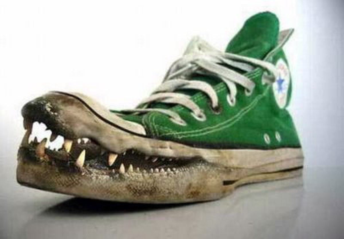 Zapatos más raros del mundo | Fotogalería | Radio | LOS40 México