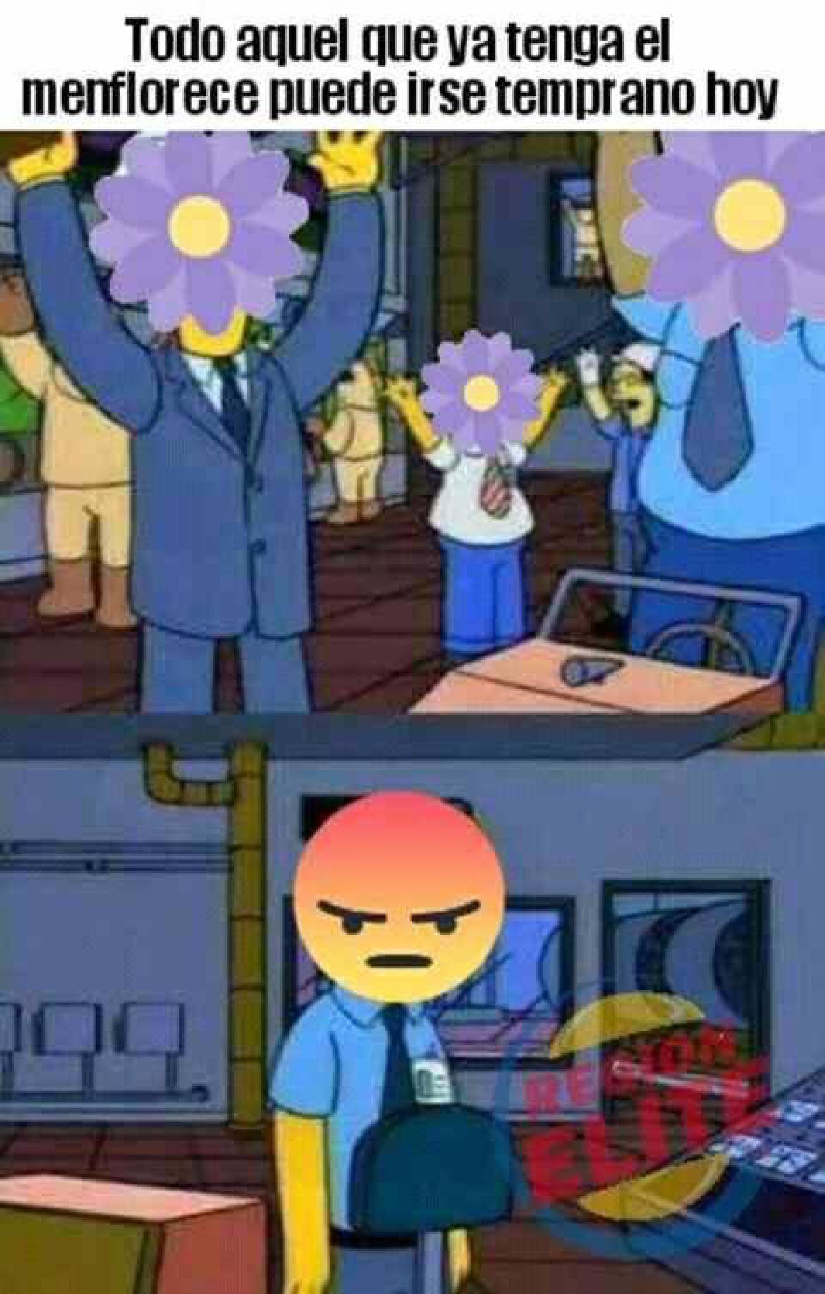 Los mejores memes de la flor morada de Facebook | Fotogalería ...
