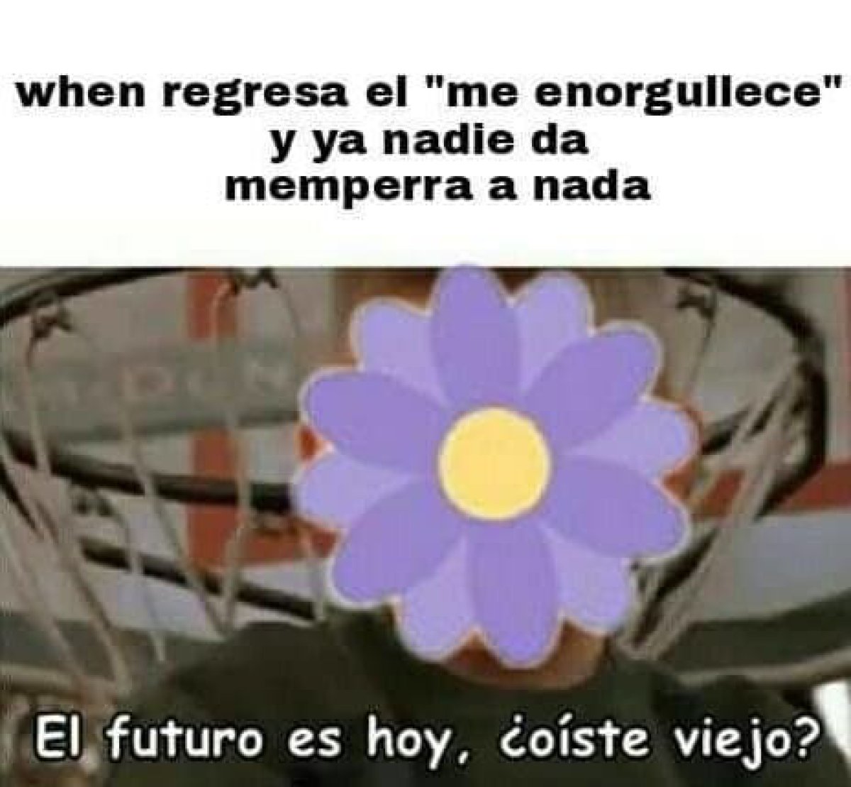 Los mejores memes de la flor morada de Facebook | Fotogalería ...