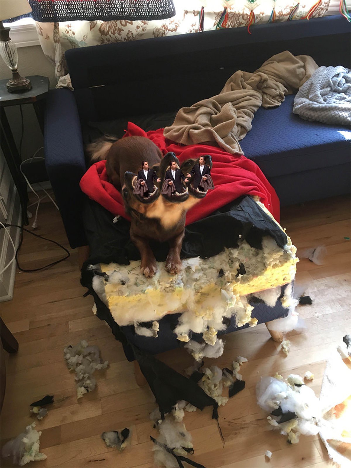 Perro endemoniado se convierte en una divertida batalla del Photoshop ...