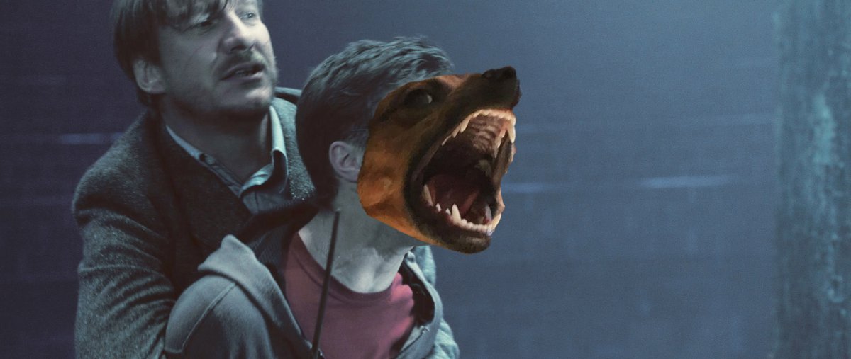 Perro endemoniado se convierte en una divertida batalla del Photoshop ...