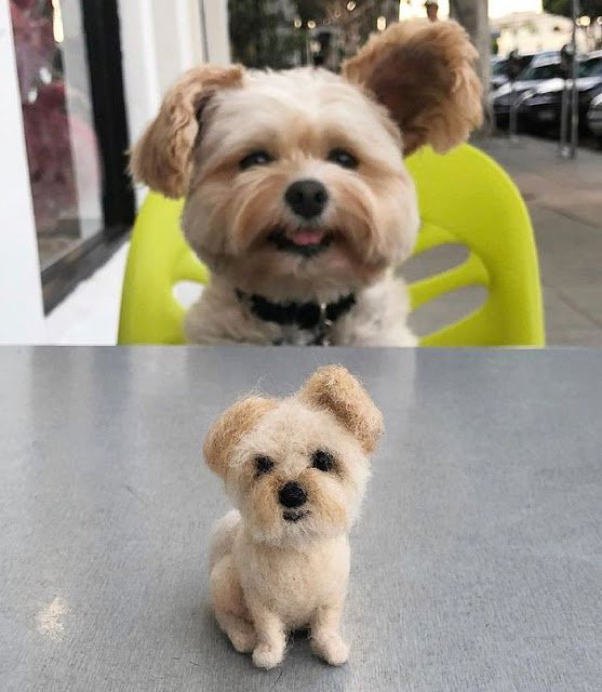 Crea la versión mini de algunas mascotas y enamora las redes ...