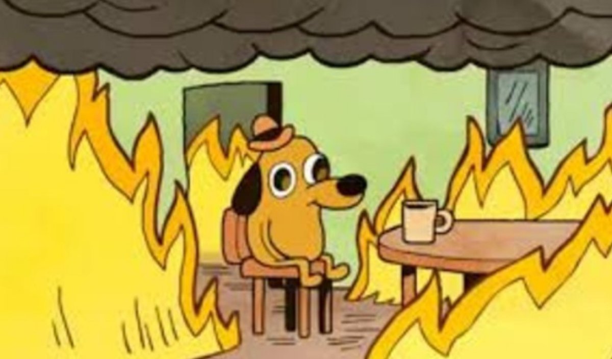 Fondos virtuales divertidos para tus clases por Zoom | Fotogalería ...