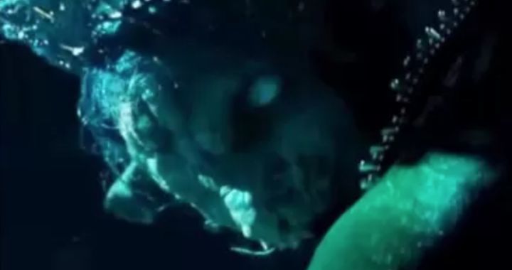 Fiona terror: "Fiona": Crean cortometraje de versión terrorífica de ...